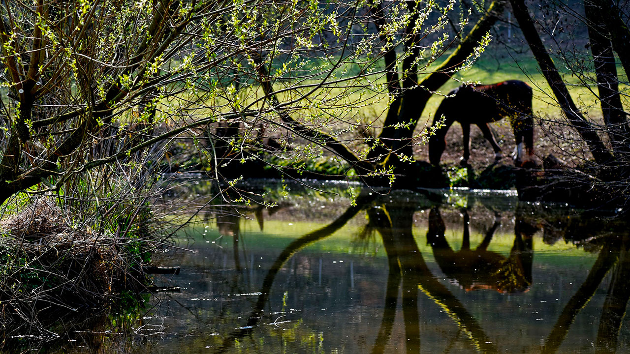 Gemeinde Aurachtal in Mittelfranken
